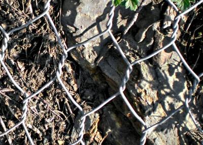 China 3.0mm Rockfall Protection Netting 80X100mm Double Twisted Hexagonal Wire Mesh for sale