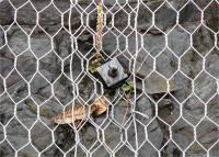 China 1-30m/Roll Rockfall Protection Netting Wire Mesh ISO9001 Certification for sale