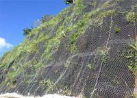 China 1-30m/Roll Rockfall Protection Netting Wire Mesh ISO9001 Certification for sale