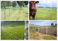 China Fixed Knot Cattle Wire Mesh Fencing 1030mm Height For Protection for sale
