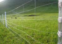 China Hot Dipped Galvanized Fixed Knot Wire Mesh Fencing 1150mm Height 50m Length for Cattle Sheep Goat Farm for sale