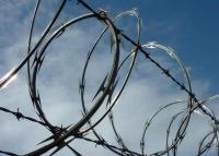 China PVC Powder Coated CBT 65 Razor Wire Anti Climb Concertina Barbed Wire Coils 0.6mm Blade 2.5mm Core for sale