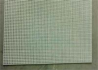 China Powder Coated Welded Wire Mesh Panel 1