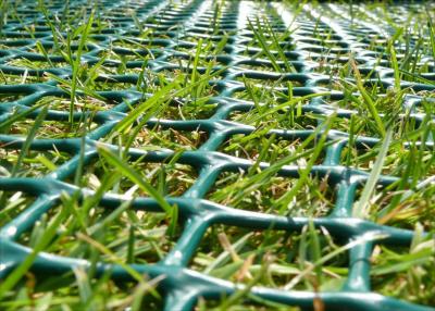 China Grass Protection Plastic Mesh , Grass Reinforcement Mesh For Pedestrians for sale