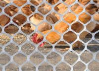 China Breeding Plastic Wire Mesh 0.3cm-12cm Aperture For Agriculture for sale