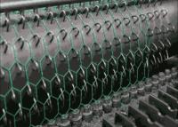 China Plastic Coated Chicken Wire Mesh , Chicken Wire Poultry Netting for sale
