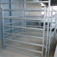 China Hot Dipped Galvanized Portable Cattle Fence Panel 1m x 2.1m Heavy Duty Livestock Panel for sale