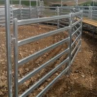 China Hot Dipped Galvanized Portable Cattle Fence Panel 1m x 2.1m Heavy Duty Livestock Panel for sale
