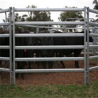 China Hot Dipped Galvanized Portable Cattle Fence Panel 1m x 2.1m Heavy Duty Livestock Panel for sale