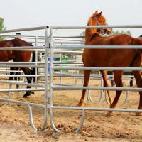 China Hot Dipped Galvanized Portable Cattle Fence Panel 1m x 2.1m Heavy Duty Livestock Panel for sale