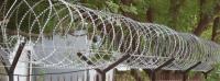 China BTO-22 450mm Stainless Steel Concertina Razor Wire Coil Security Fence for Military Use for sale
