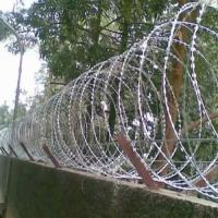 China Hot Dipped Galvanized BTO-22 Concertina Razor Wire Coil 450mm 33 Loops Security Fence for sale