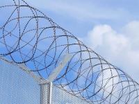 China Hot Dipped Galvanized BTO-22 Concertina Razor Wire Coil 450mm 33 Loops Security Fence for sale