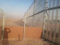 China Hot Dipped Galvanized Wire Mesh Fence 50x50mm Mesh 2mm-6mm Wire Diameter Security Fencing for sale