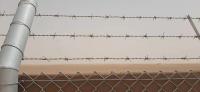 China Hot Dipped Galvanized Wire Mesh Fence 50x50mm Mesh 2mm-6mm Wire Diameter Security Fencing for sale