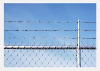 China Galvanized Barbed Wire Fence 75mm-120mm Barb Spacing 1.5mm-2.5mm Wire Diameter for Farm Security for sale