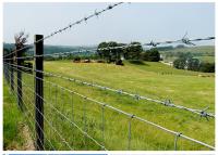 China Galvanized Barbed Wire Fence 75mm-120mm Barb Spacing 1.5mm-2.5mm Wire Diameter for Farm Security for sale