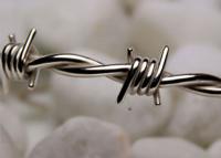 China Galvanized Barbed Wire Fence 45mm Barb Length 50m-120m Coil for Farm Security for sale