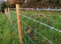 China Easy installation hot dipped galvanized barbed wire fence for farm for sale
