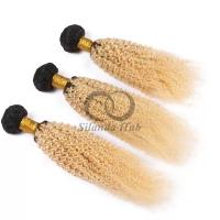 China Bleached Blonde Kinky Curly Remy Human Hair Bundles 10-28 Inch Brazilian Sew In Weave 3 Bundles Set for sale
