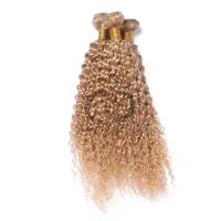 China 27 Honey Blonde Kinky Curly Remy Human Hair Bundles 10-28 Inch Brazilian Sew In Weave for sale