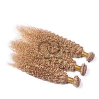 China 27 Honey Blonde Kinky Curly Remy Human Hair Bundles 10-28 Inch Brazilian Sew In Weave for sale