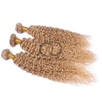 China 27 Honey Blonde Kinky Curly Remy Human Hair Bundles 10-28 Inch Brazilian Sew In Weave for sale