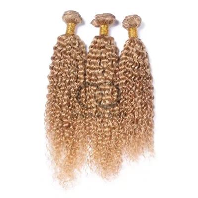 China 27 Honey Blonde Kinky Curly Remy Human Hair Bundles 10-28 Inch Brazilian Sew In Weave for sale