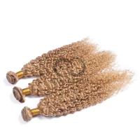 China 27 Honey Blonde Kinky Curly Remy Human Hair Bundles 10-28 Inch Brazilian Sew In Weave for sale