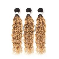 China T1B/27 Water Wave Remy Human Hair Bundles Brazilian Sew In Weave 10-28 Inch for sale