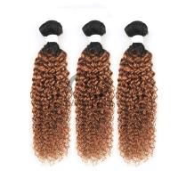 China T1B/30 Kinky Curly Remy Human Hair Bundles 10-28 Inch Brazilian Sew In Weave for sale