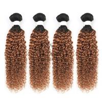 China T1B/30 Kinky Curly Remy Human Hair Bundles 10-28 Inch Brazilian Sew In Weave for sale
