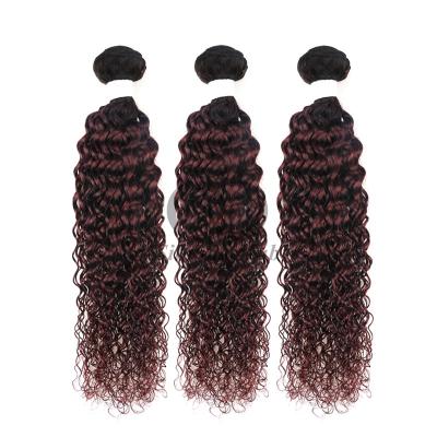 China T1B/99J Kinky Curly Remy Human Hair Bundles 10-28 Inch Brazilian Sew In Weave for sale