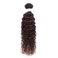 China T1B/99J Kinky Curly Remy Human Hair Bundles 10-28 Inch Brazilian Sew In Weave for sale