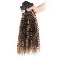 China P4/27 Kinky Curly Remy Human Hair Bundles 10-28 Inch Brazilian Sew In Weave for sale