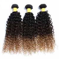 China T1B 4 27 Kinky Curly Remy Human Hair Bundles Brazilian Sew In Weave 14 28 Inch for sale