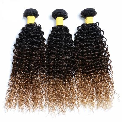 China T1B 4 27 Kinky Curly Remy Human Hair Bundles Brazilian Sew In Weave 14 28 Inch for sale