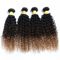 China T1B 4 27 Kinky Curly Remy Human Hair Bundles Brazilian Sew In Weave 14 28 Inch for sale