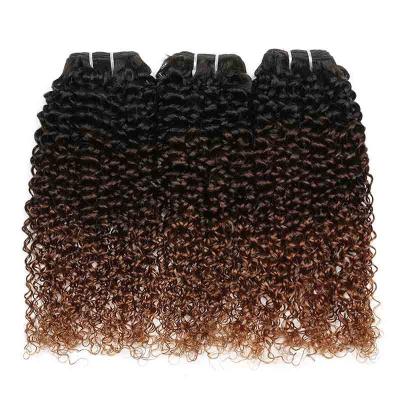 China T1B/4/30 Kinky Curly Remy Human Hair Bundles 14-28 Inch Brazilian Sew In Weave for sale