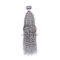 China Grey Kinky Curly Remy Human Hair Bundles Sew In Weave Brazilian 10-28 Inch 3 Bundles for sale