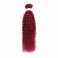 China Burgundy Kinky Curly Remy Human Hair Bundles 10-28 Inch Brazilian Weave 3 Bundles for sale