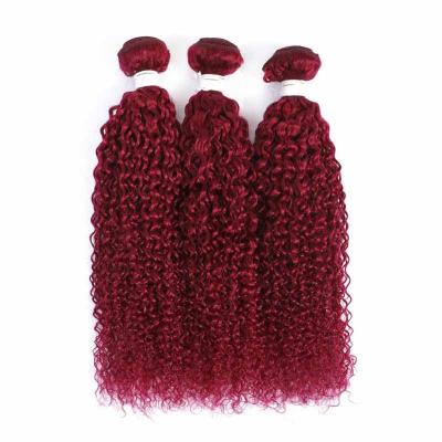 China Burgundy Kinky Curly Remy Human Hair Bundles 10-28 Inch Brazilian Weave 3 Bundles for sale