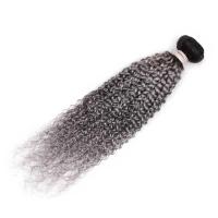 China T1B Grey Kinky Curly Remy Human Hair Bundles 10-28 Inch Brazilian Weave 3 Bundles for sale