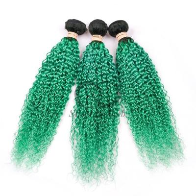 China T1B Green Kinky Curly Remy Human Hair Bundles 10-28 Inch Brazilian Weave for sale