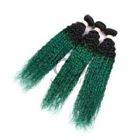 China T1B Green Kinky Curly Remy Human Hair Bundles 10-28 Inch Brazilian Sew In Weave for sale
