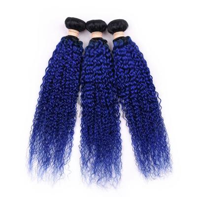 China T1B Blue Kinky Curly Remy Human Hair Bundles 10-28 Inch Brazilian Weave 3 Bundles for sale