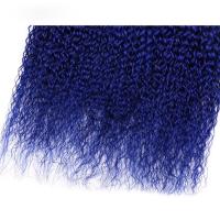 China T1B Blue Kinky Curly Remy Human Hair Bundles 10-28 Inch Brazilian Weave 3 Bundles for sale