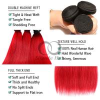 China T1B Red Straight Remy Human Hair Bundles Sew In Weave Brazilian 3 Bundles 10-28 Inch for sale