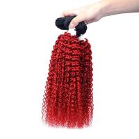 China T1B Red Kinky Curly Remy Human Hair Bundles 10-28 Inch Brazilian Sew In Weave 3 Bundles Set for sale