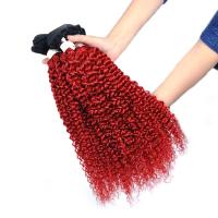 China T1B Red Kinky Curly Remy Human Hair Bundles 10-28 Inch Brazilian Sew In Weave 3 Bundles Set for sale